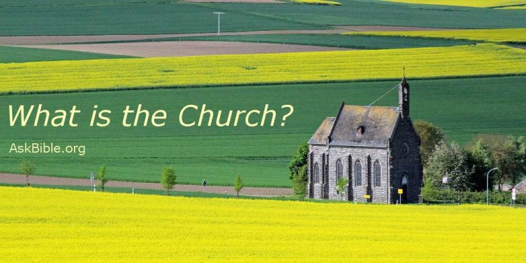 What is the Church? - AskBible.org